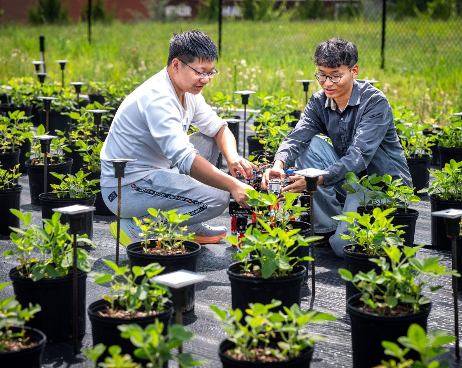 Mashup at the NC Plant Sciences Institute: Envu and Digital Agriculture ...